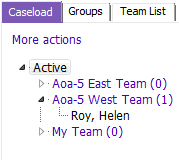 Team Caseload – PARIS User Help